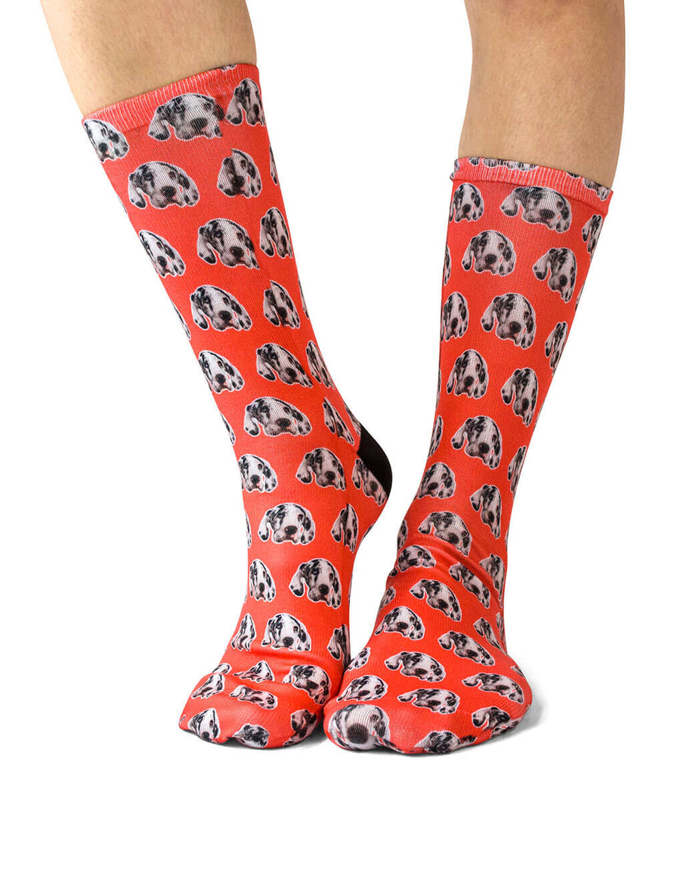 Custom Dog Socks - Custom Dog Face Socks